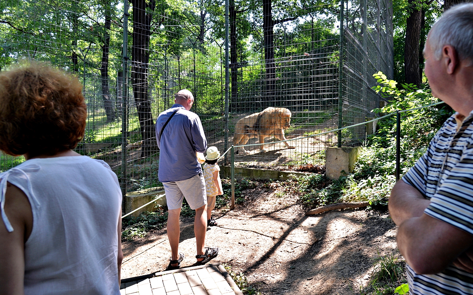 Grădina Zoologică din Hunedoara se închide: Locul animalelor nu este în ...